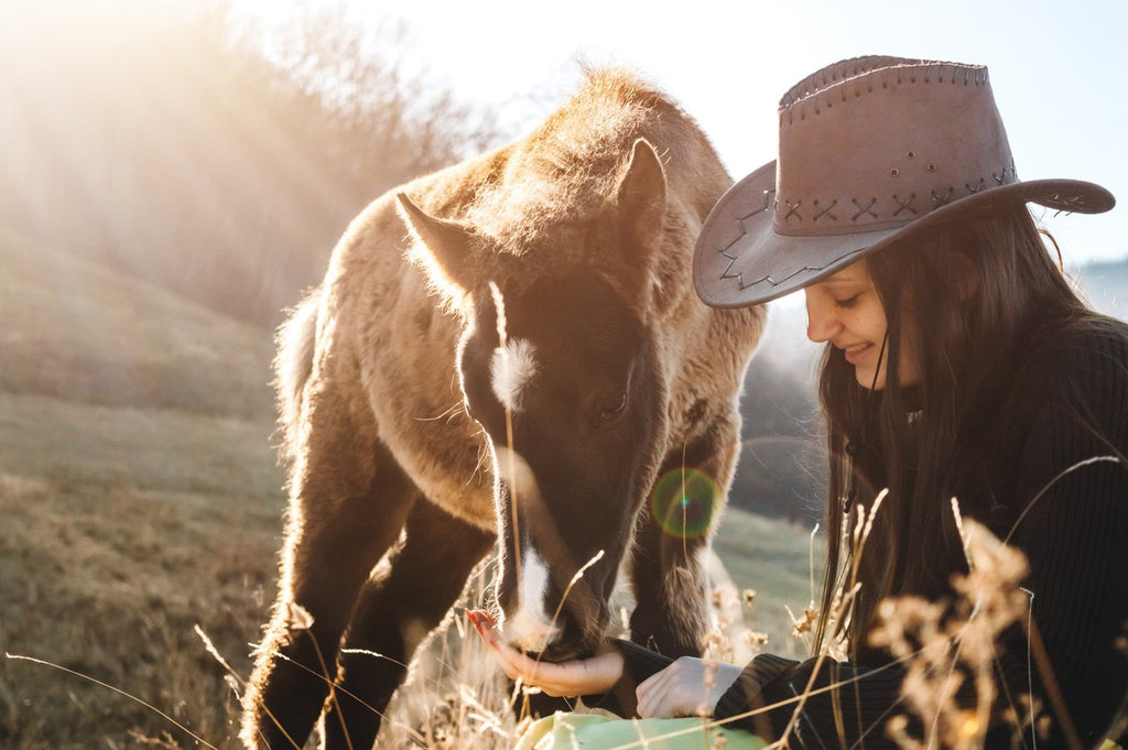 Colt Horse Care 101: Understanding the Basics of Rearing Young Equines ...
